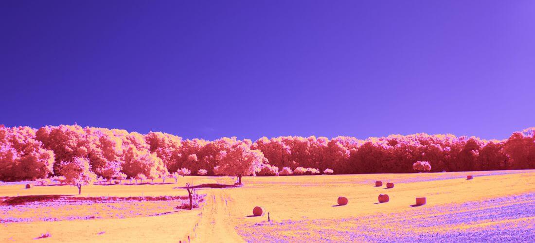 Placement - University of International Studies of Rome - UNINT